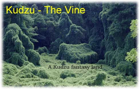 Halcyon Days: Kudzu: The Amazing Vine That Ate the South